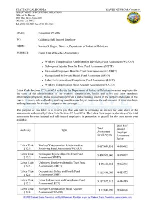 DIR Assessments for 2023 | | Workers’ Comp Executive